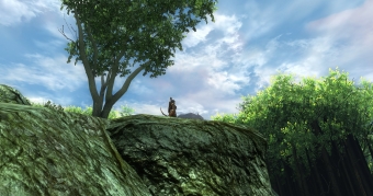 The High Road Wilderness Area Map Walkthrough and Guide