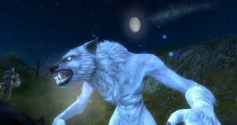 The High Road Wilderness Area Map Walkthrough and Guide