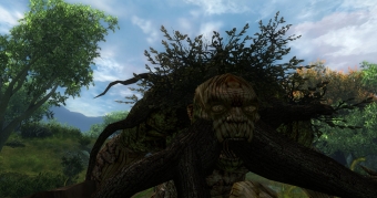 The High Road Wilderness Area Map Walkthrough and Guide