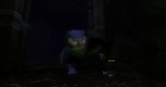 Disciples of Shar Quest Walkthrough and Guide - DDM's Realm ...